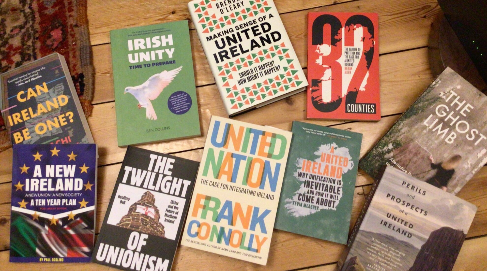 Irish Border Poll - Working Towards Irish Unity